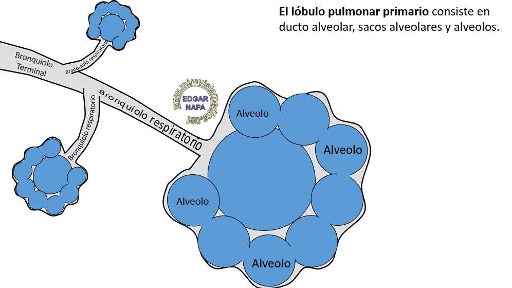 Este Es Un Excelente Lugar Para Agregar Un Párrafo Site Brand