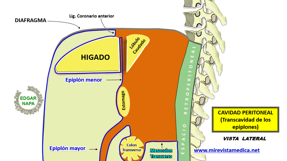 Este es un excelente lugar para agregar un párrafo. - Site brand