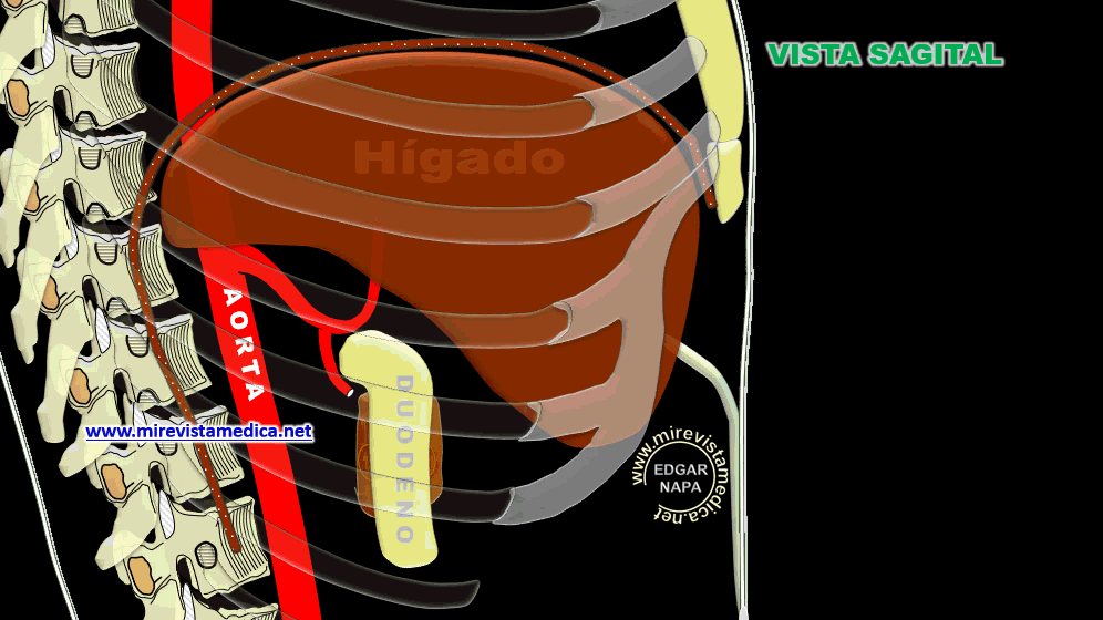 Este es un excelente lugar para agregar un párrafo. - Site brand